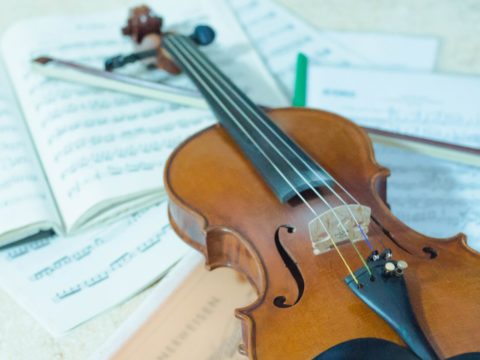 What is Western Classical Violin playing? | MusicLesson.In